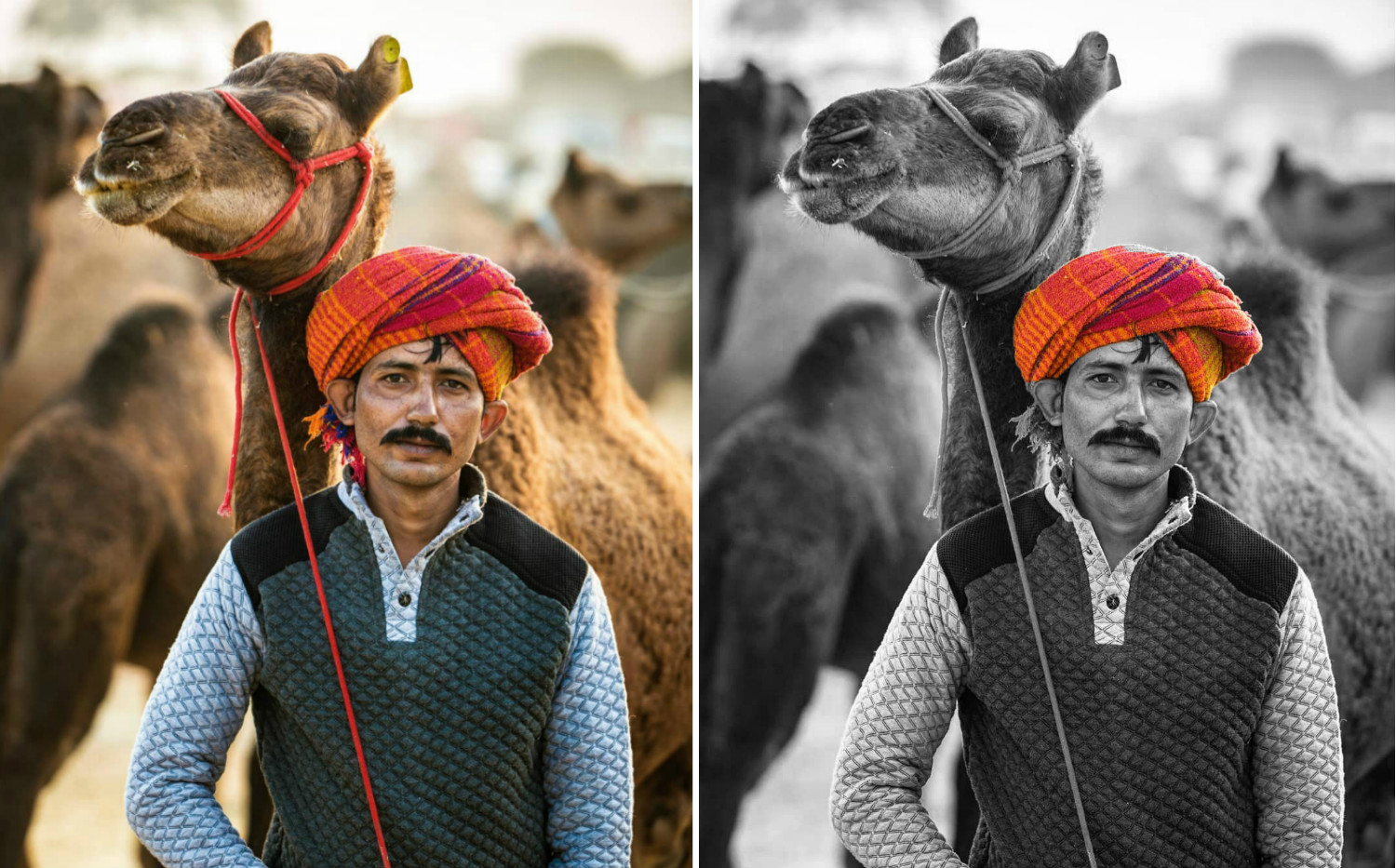 6 Mistakes to Avoid When Editing Photos For The First Time - Revenues ...