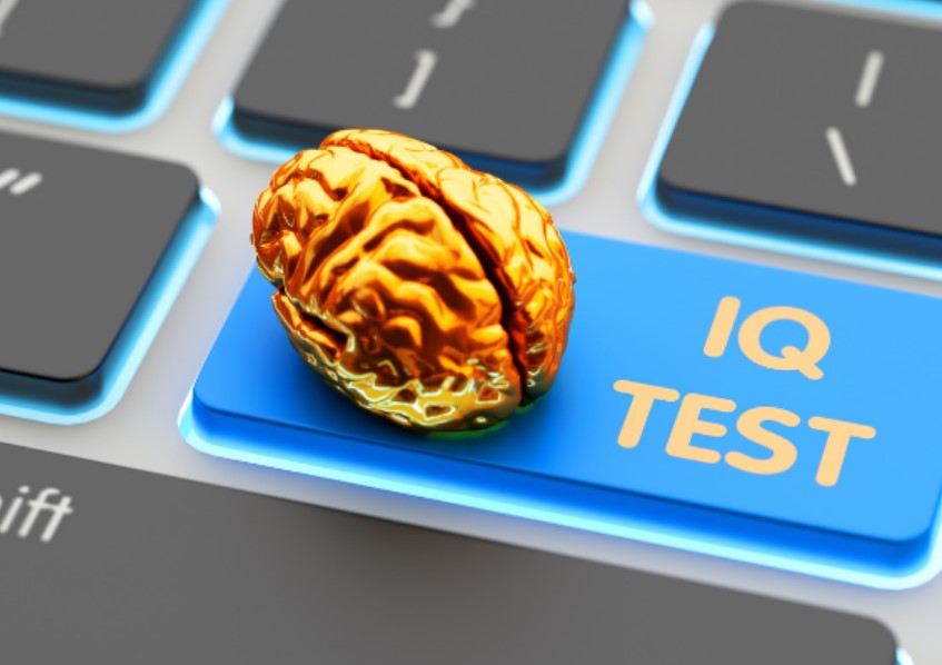The Importance of Pre-Employment IQ Test - Revenues & Profits