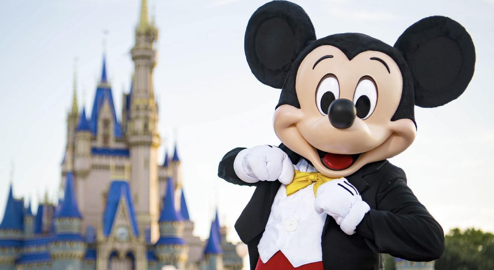 5 Reasons You Should Consider Becoming a Travel Agent For Disney ...