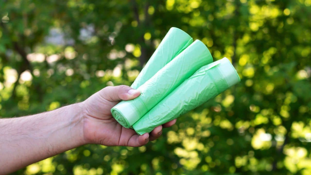 The Future of Waste Management: Biodegradable Refuse Bags - Revenues ...